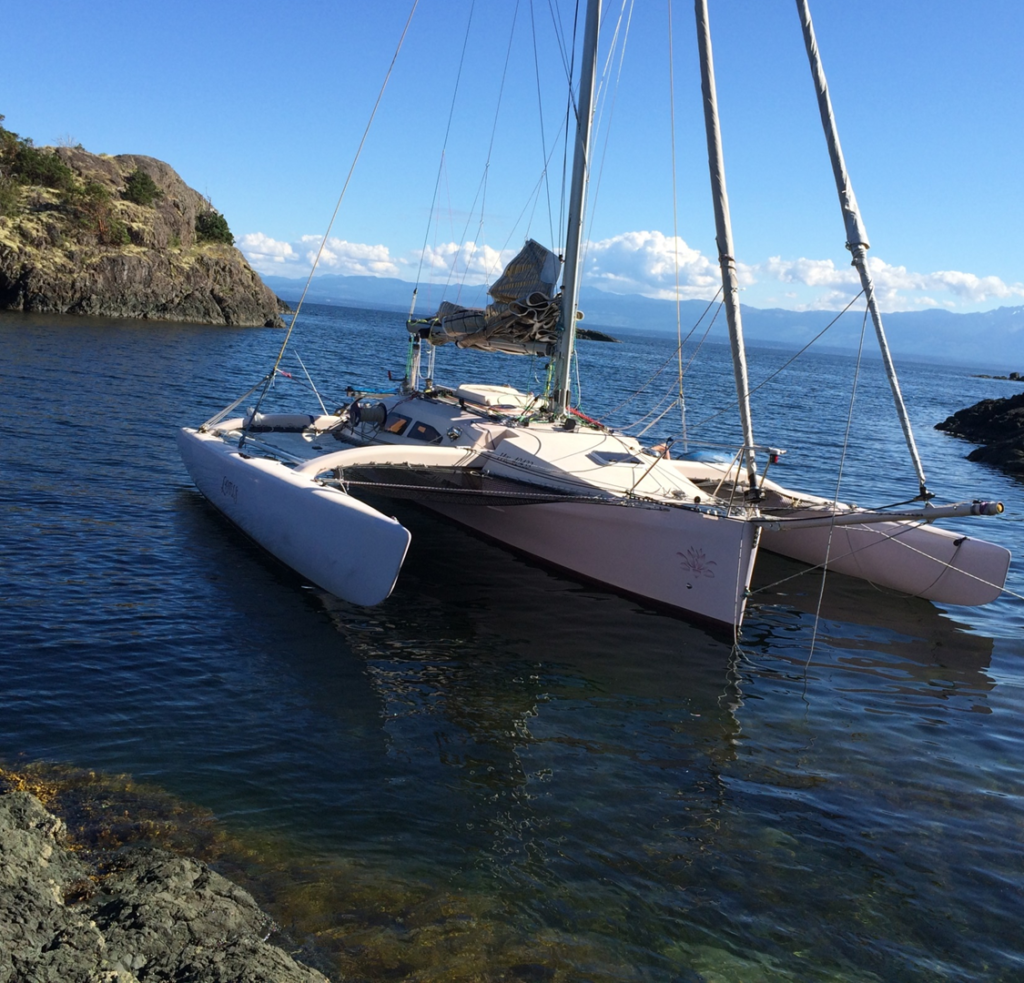 Multihull Sailboats - Peter Walford Dentistry